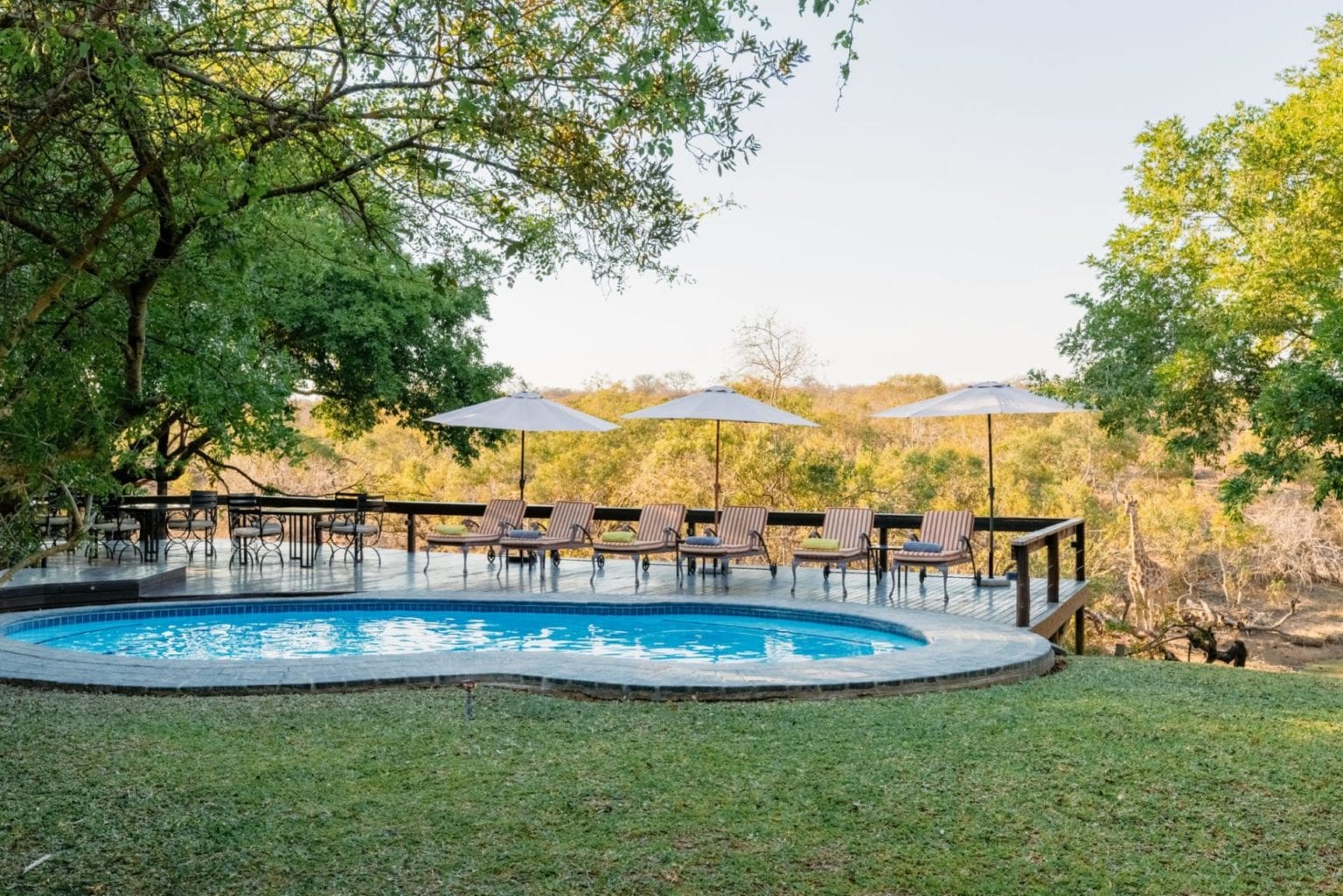 Luxury Safari Accommodation in Thornybush Nature Reserve • Africa ...